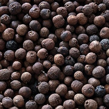 " Allspice, Jamaica pepper, myrtle pepper, pimenta, or pimento" Poster ...