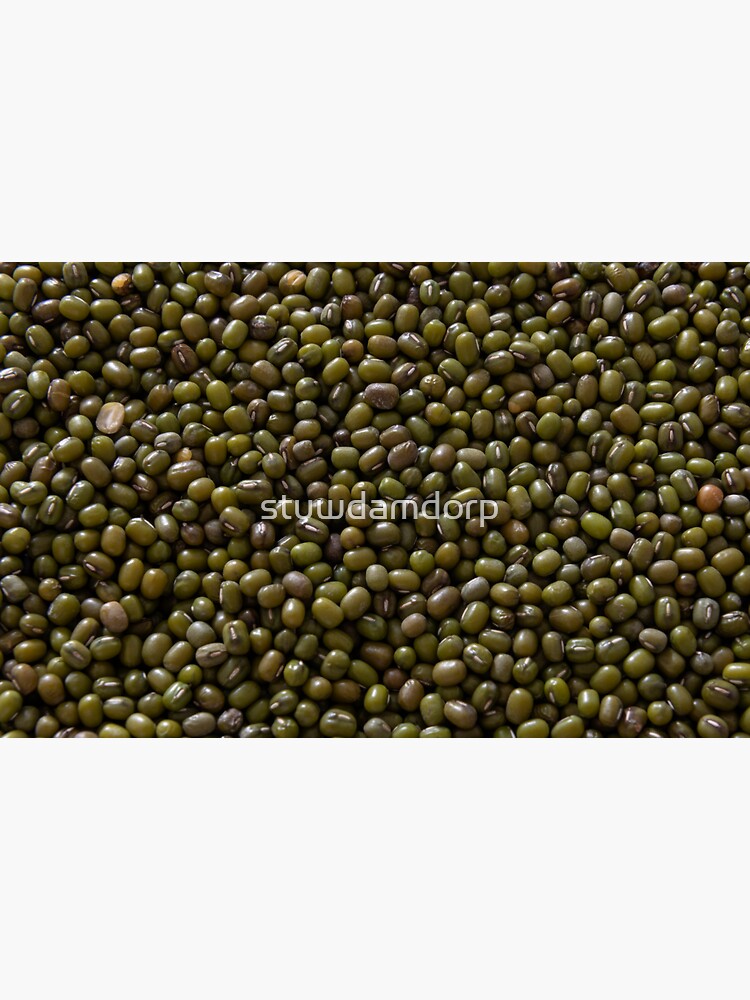 "Mung beans (vigna radiata)" Sticker for Sale by stuwdamdorp | Redbubble