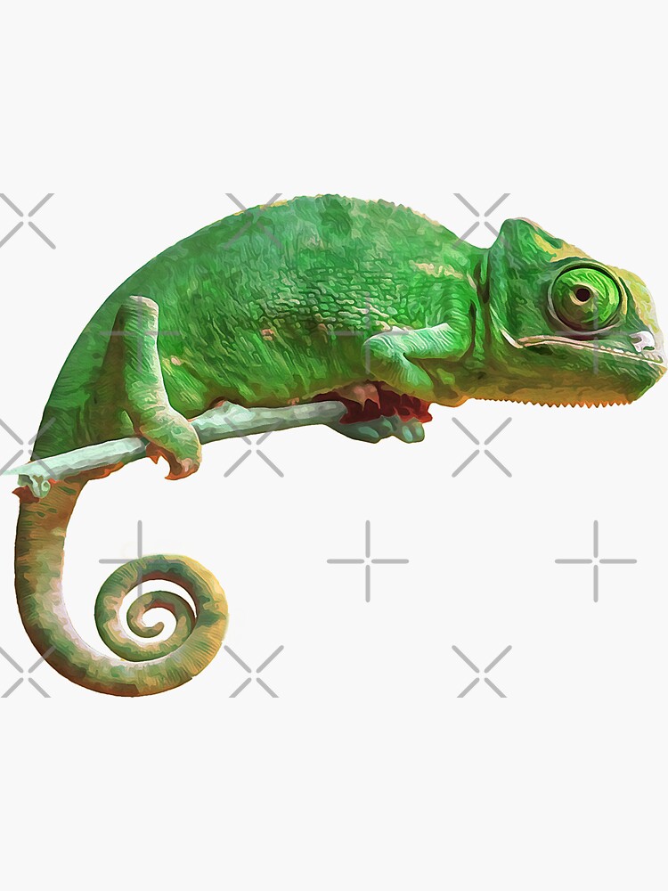 "Chameleon" Sticker for Sale by CritterSticker | Redbubble