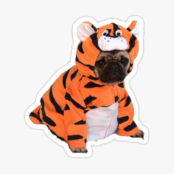 "Cute Pug In Tiger Costume" Sticker for Sale by ZanderZander | Redbubble