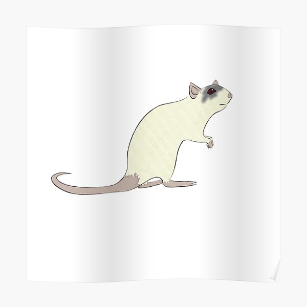 "Blue masked rat" Poster for Sale by RatRancid | Redbubble