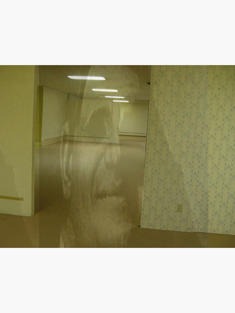 "The backrooms, backroom creepy incredible meme" Photographic Print for ...