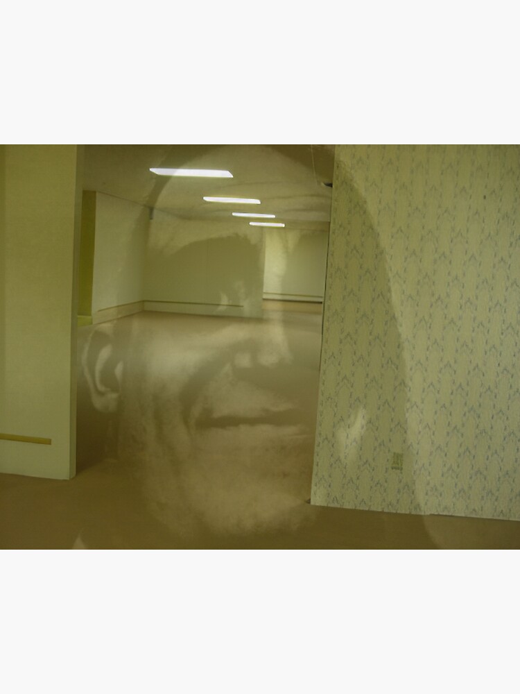 "The backrooms, backroom creepy incredible meme" Art Print for Sale by ...