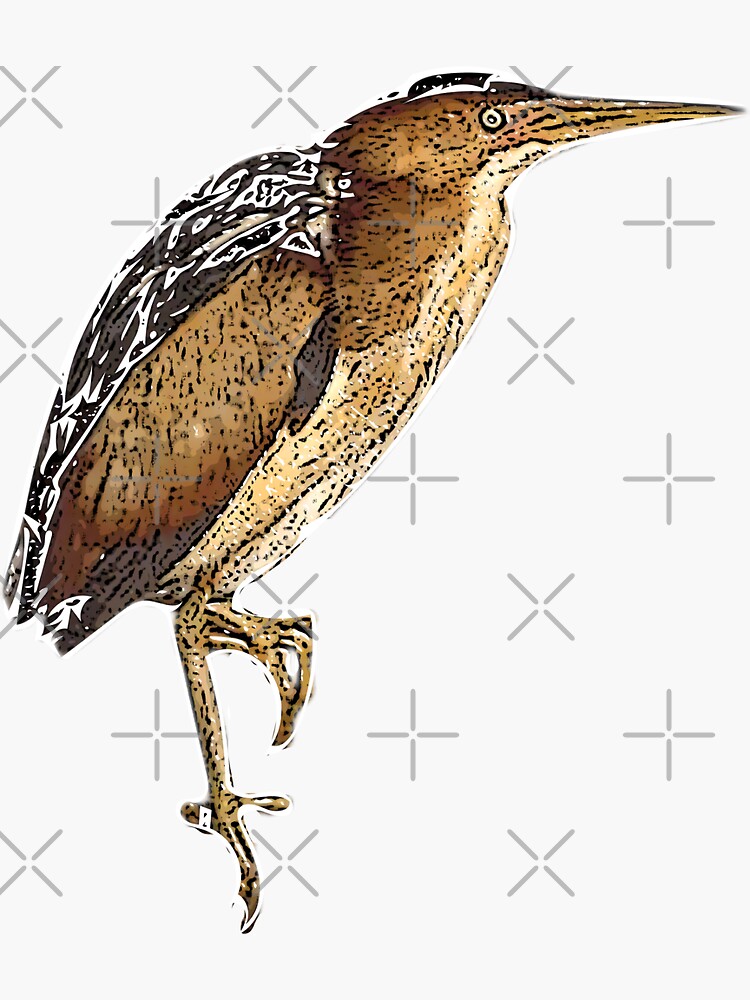 " White Alternate Print Painting Design of a Least Bittern" Sticker for ...