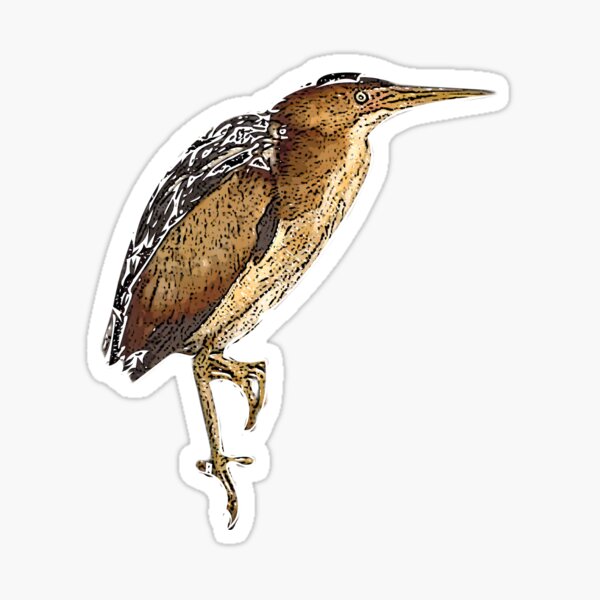 " White Alternate Print Painting Design of a Least Bittern" Sticker for ...