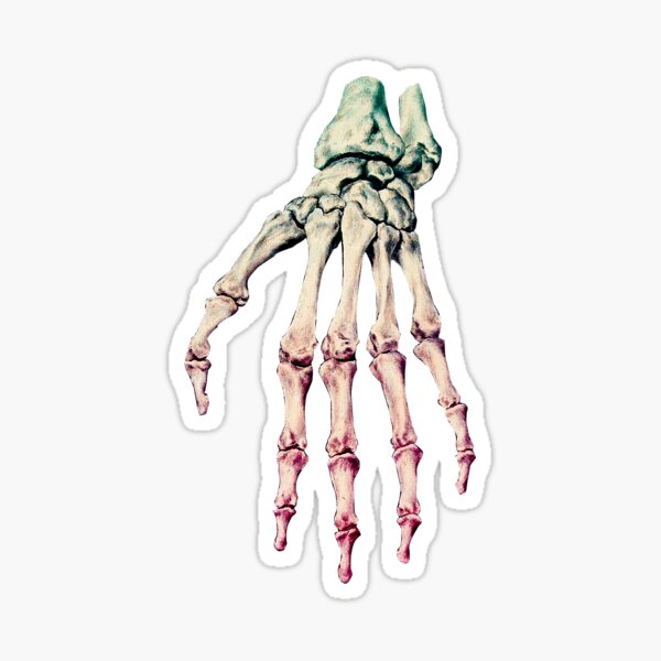 "SKELETON HAND" Sticker for Sale by SpotStudio | Redbubble