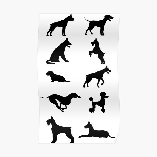"Different types of dog" Poster for Sale by izabellafoster | Redbubble