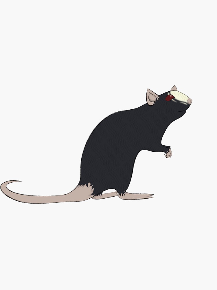 "Black blazed rat" Sticker for Sale by RatRancid | Redbubble