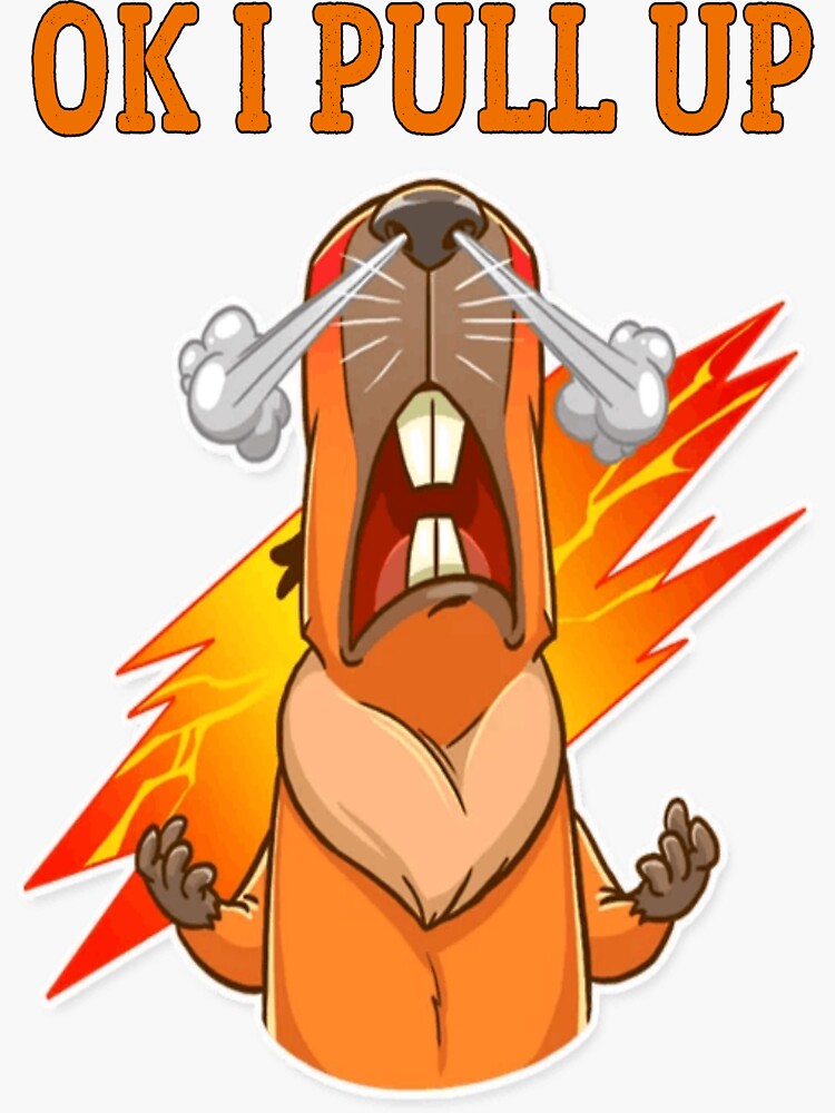 "Ok I Pull Up Capybara power " Sticker for Sale by Storeghost1 | Redbubble