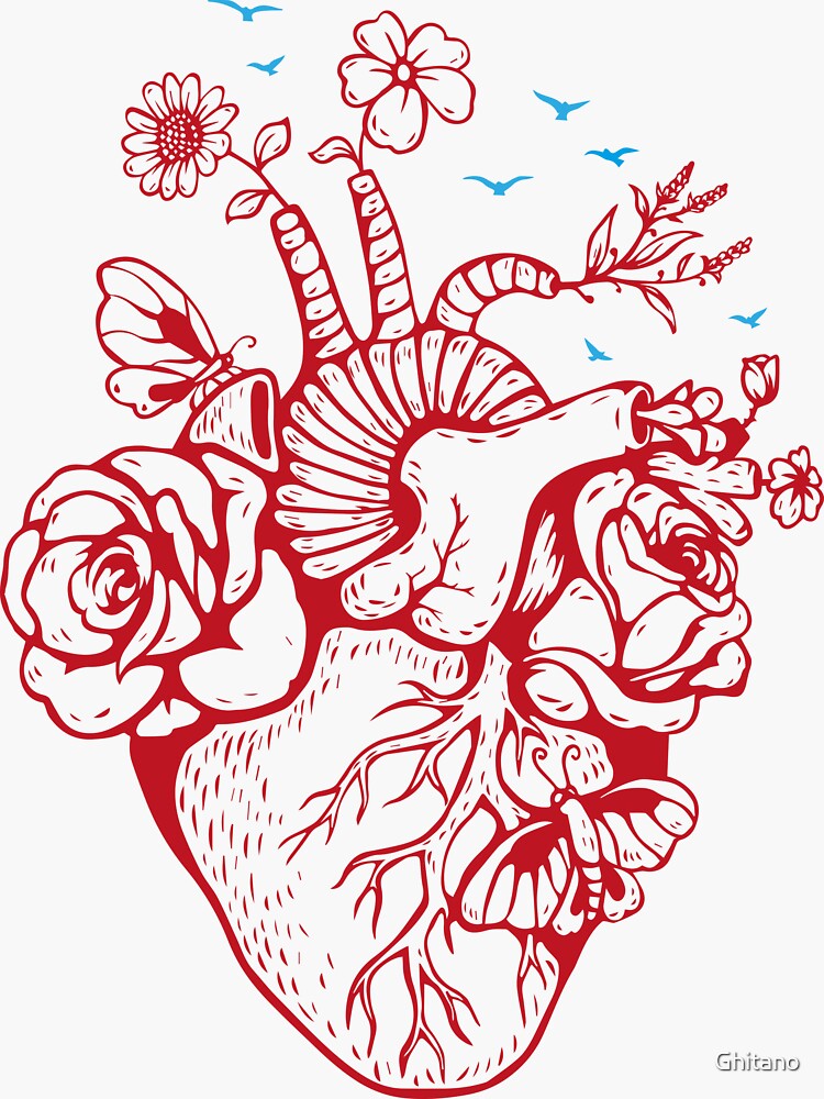 "heart - educational organ" Sticker for Sale by Ghitano | Redbubble