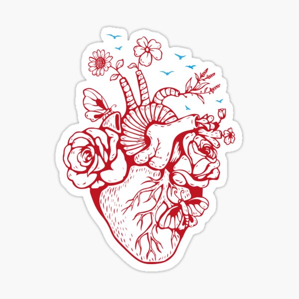 "heart - educational organ" Sticker for Sale by Ghitano | Redbubble