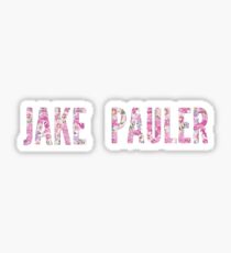 Jake Pauler: Stickers | Redbubble