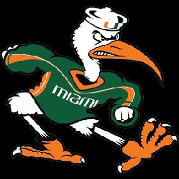 "Miami Hurricanes Sticker" Sticker for Sale by debraicmattie | Redbubble