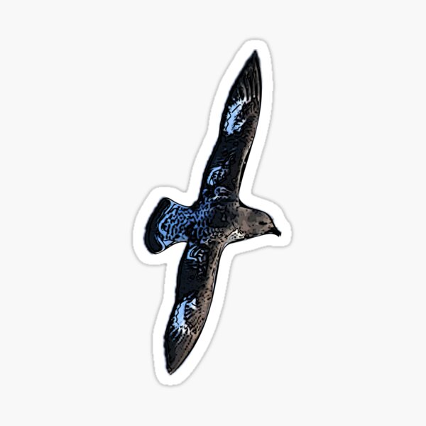 "Black Alternate Print Painting Design of a Cape Petrel " Sticker for ...