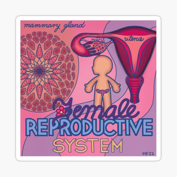 "Female reproductive system art" Sticker for Sale by Mizzzfoster ...