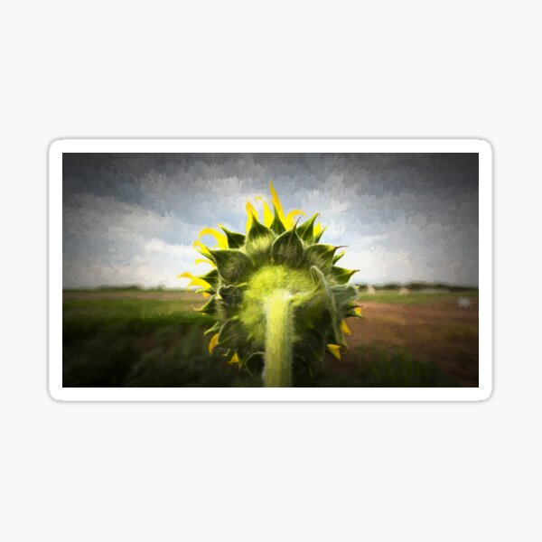 "Facing Tomorrow" Sticker for Sale by Stookey | Redbubble