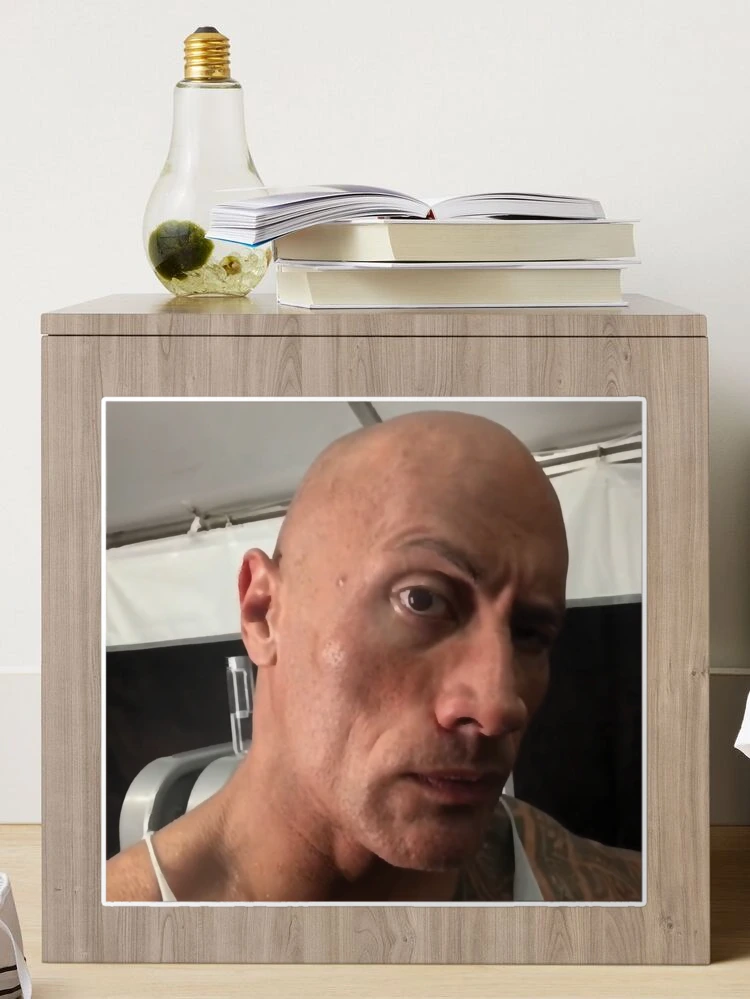 Il Meme Del Sopracciglio Di Roccia