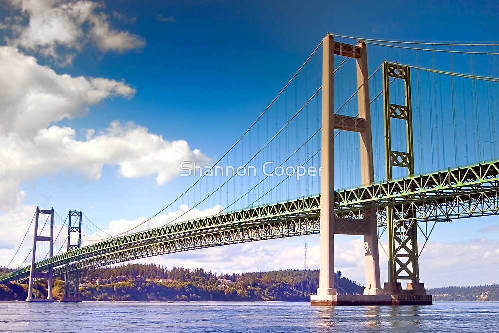 "Sturdy Gertie" by Shannon Cooper | Redbubble