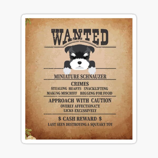 "Miniature Schnauzer Dog Wanted" Sticker for Sale by RobertDorr | Redbubble