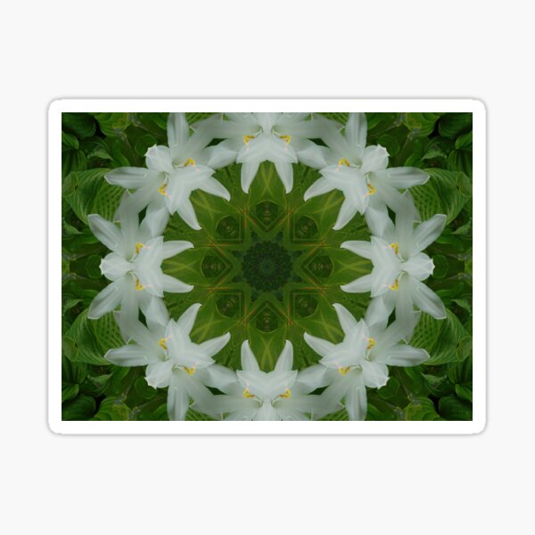 "Hosta Mandala" Sticker for Sale by foggynotion | Redbubble