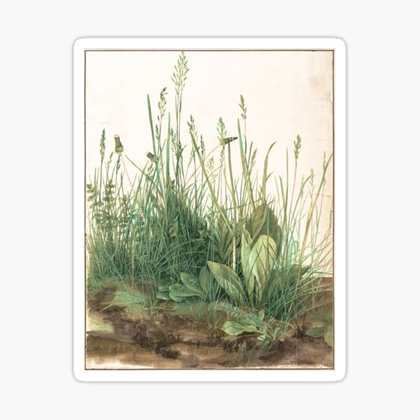 "The Large Piece of Turf Albrecht Dürer " Sticker for Sale by ...