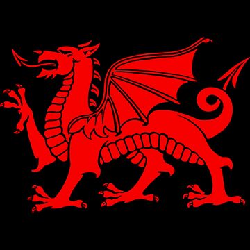 "Wrexham Dragons" Throw Blanket for Sale by voalamertimo | Redbubble