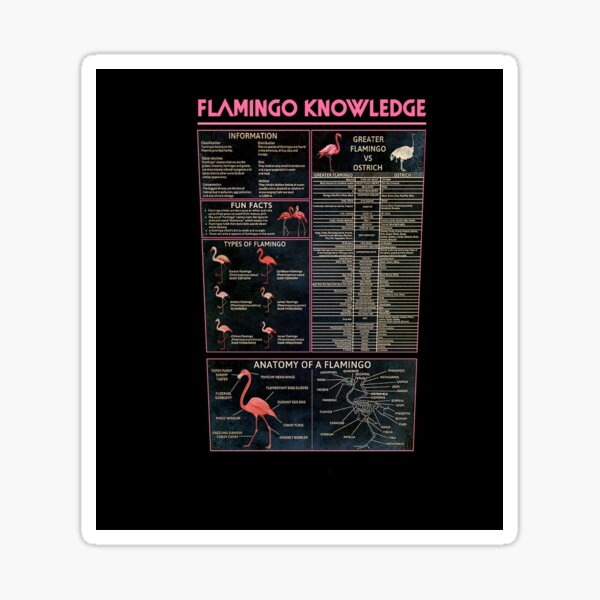 "Flamingo Knowledge Anatomy of Flamingo Etymology Fun Facts" Sticker ...
