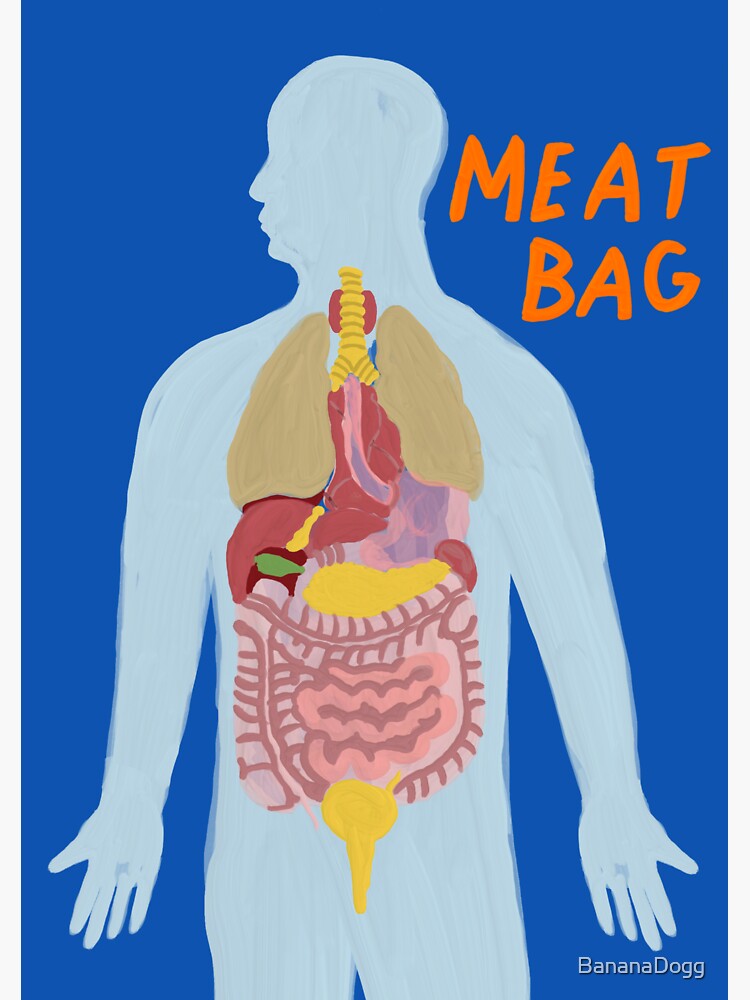 Pegatina «Meatbag Painting - Ilustraciones divertidas de Redbubble con ...