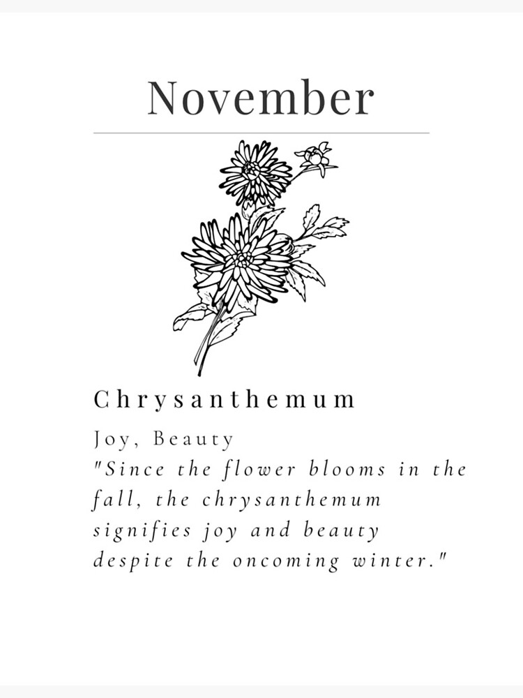 "Minimalistic Birth flower November Chrysanthemum flower meaning Joy ...