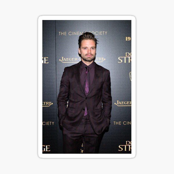 "Sebastian Stan" Sticker by RebeccaBruun | Redbubble
