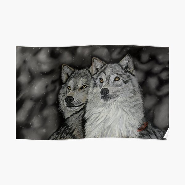 "Two Wolves" Poster for Sale by collydavid | Redbubble
