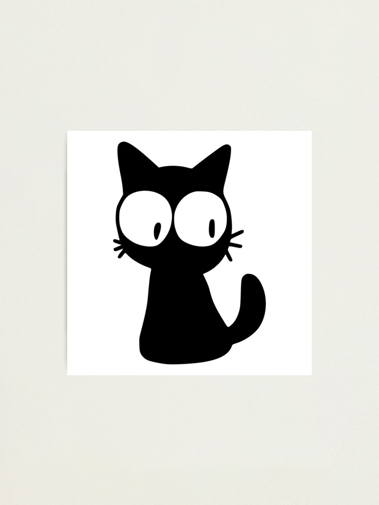 "Takkun The Cat" Photographic Print for Sale by HeavenlyPlaces | Redbubble