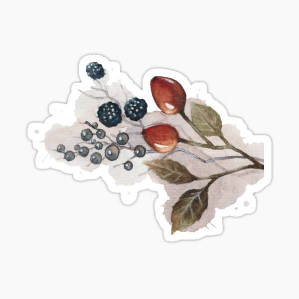 "Watercolor Berries" Sticker for Sale by Turdus-Merula | Redbubble