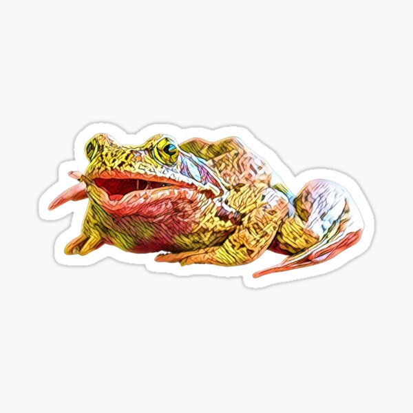 "Frog on moss" Sticker for Sale by Kid-Genius | Redbubble