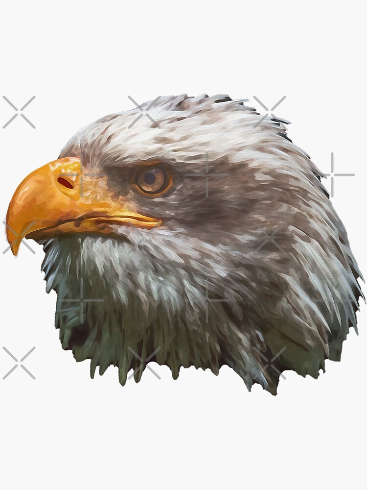 "American Bald Eagle Head " Sticker for Sale by CritterSticker | Redbubble