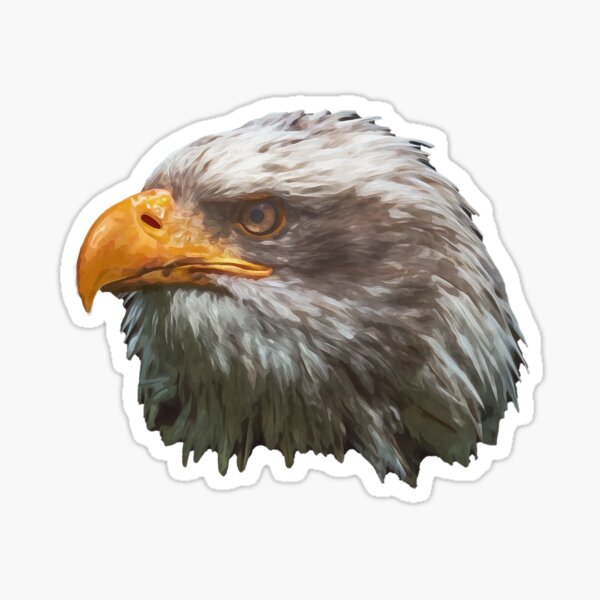 "American Bald Eagle Head " Sticker for Sale by CritterSticker | Redbubble