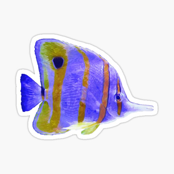"Angel Fish" Sticker for Sale by CritterSticker | Redbubble