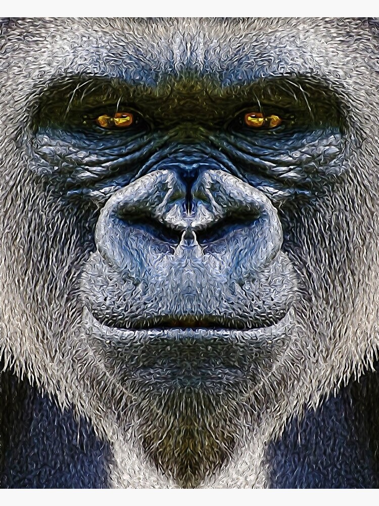 "Silverback Western Lowland Gorilla Smiles Animals Gifts Graphic ...