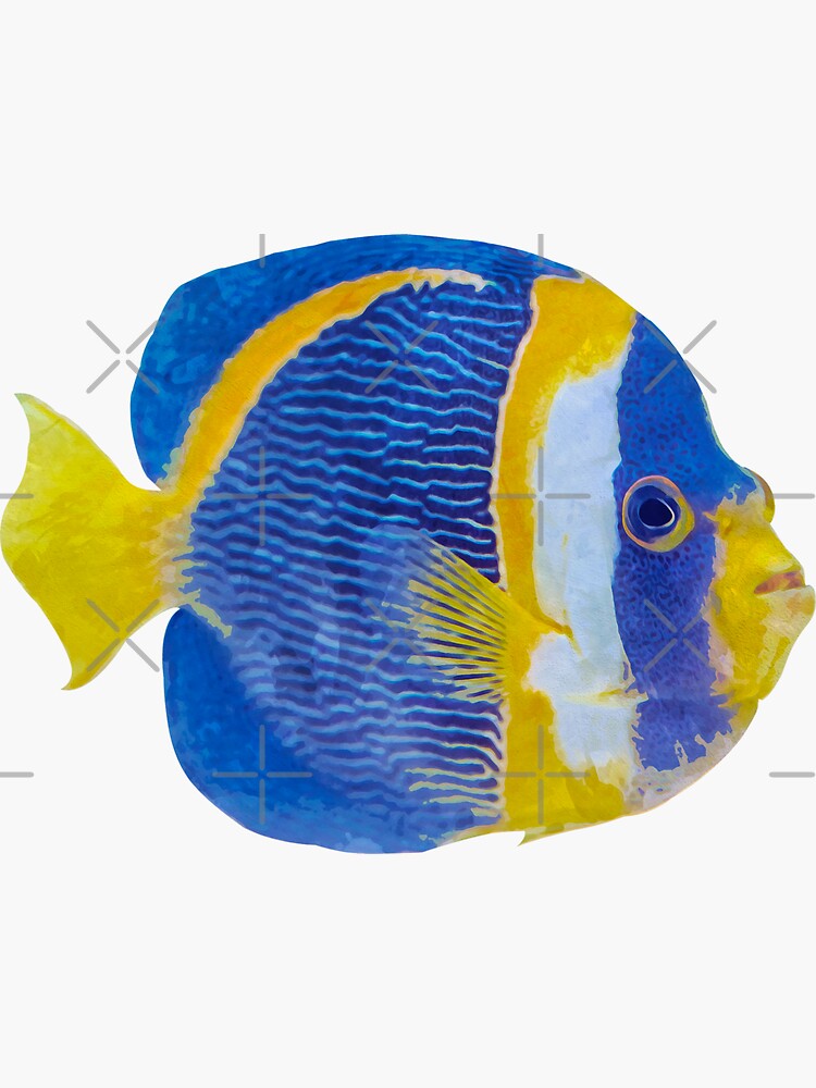 "Blue Angel Fish" Sticker for Sale by CritterSticker | Redbubble