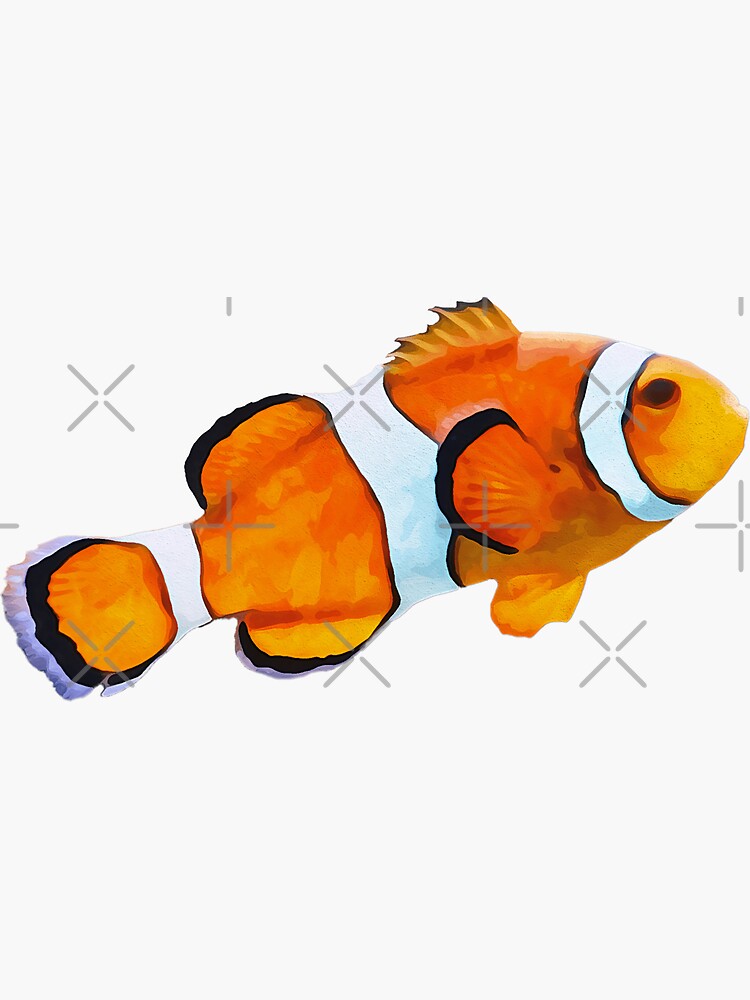 "Clown Fish" Sticker for Sale by CritterSticker | Redbubble