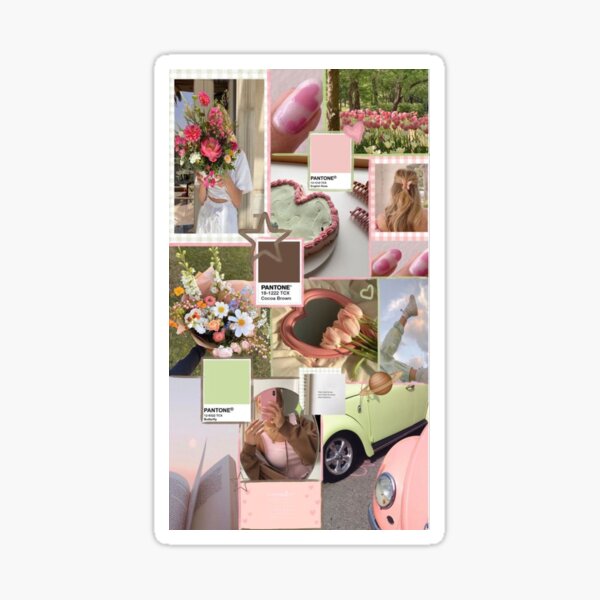 "Girly Pink Aesthetic Collage" Sticker for Sale by persianezhad | Redbubble