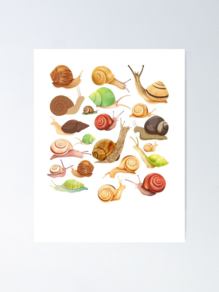 "A Slew of Snails " Poster for Sale by One-Te | Redbubble