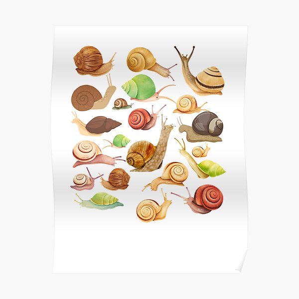 "A Slew of Snails " Poster for Sale by One-Te | Redbubble