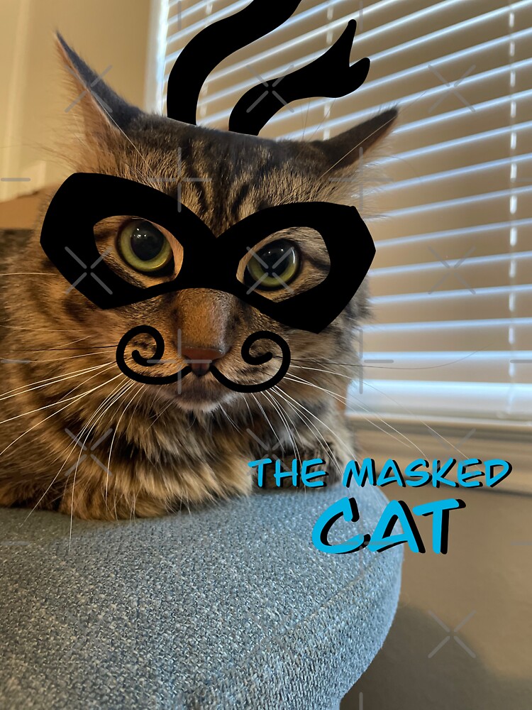 "Mystery Cat" Sticker for Sale by KnacksByTandy | Redbubble