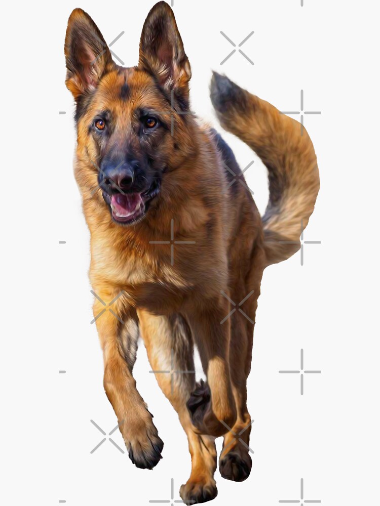 "German Shepherd Dog Running" Sticker for Sale by CritterSticker ...