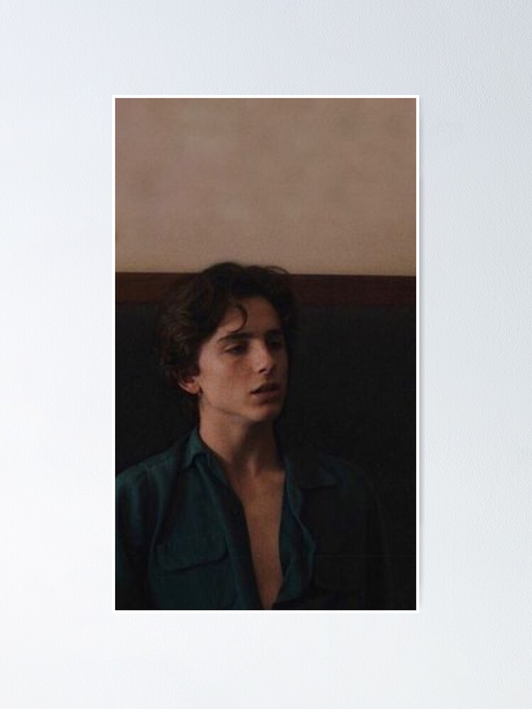 "timothee chalamet - lady bird" Poster for Sale by isabellagoldie ...