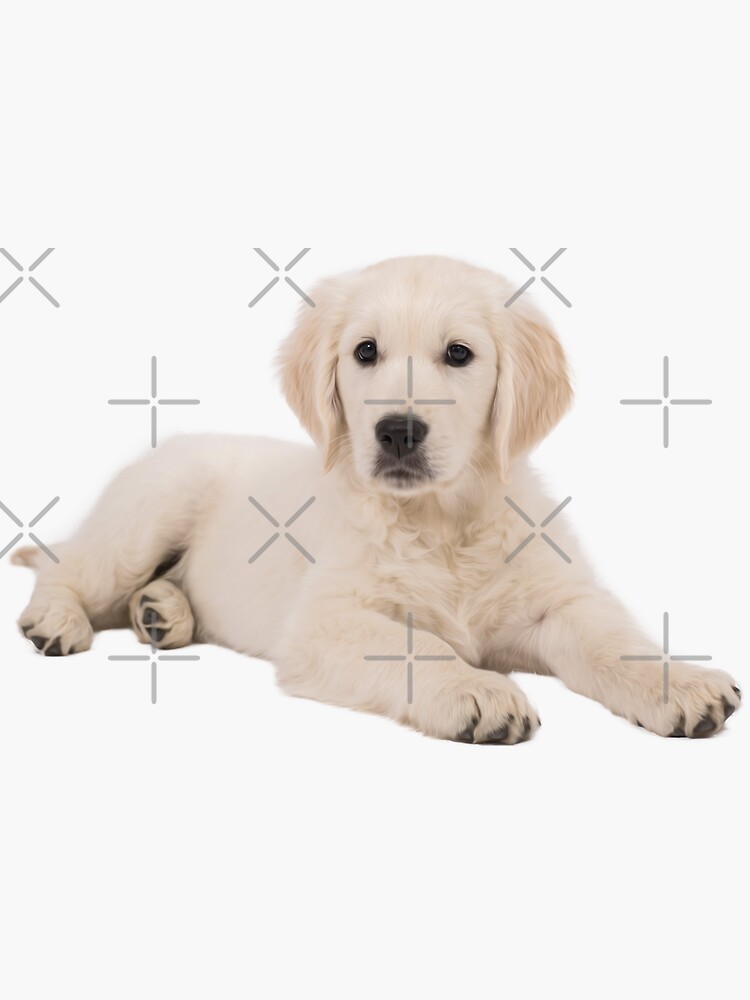 "Sad Labrador Retriever Puppy" Sticker for Sale by CritterSticker ...