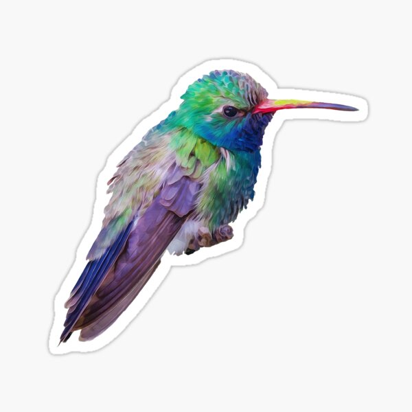 "Colorful Hummingbird" Sticker for Sale by CritterSticker | Redbubble
