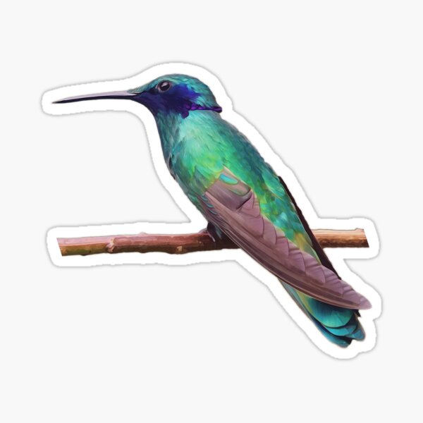 "Slim Hummingbird" Sticker for Sale by CritterSticker | Redbubble