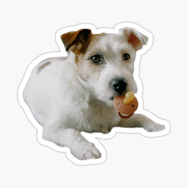 "Cute Jack Russell Terrier" Sticker for Sale by CritterSticker | Redbubble